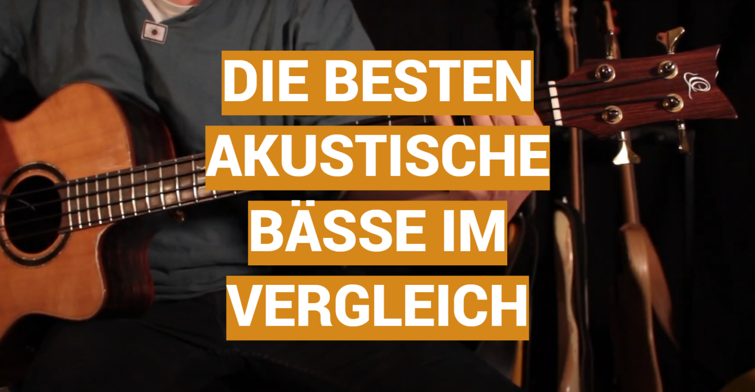 Akustik Bass Test-Überblick Mai 2026: Die besten Akustische Bässe im ...
